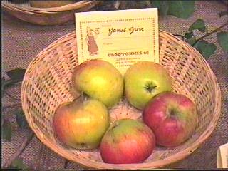 GUIDE DES POMMES - GUIDE OF APPLES - JAMES GRIEVE