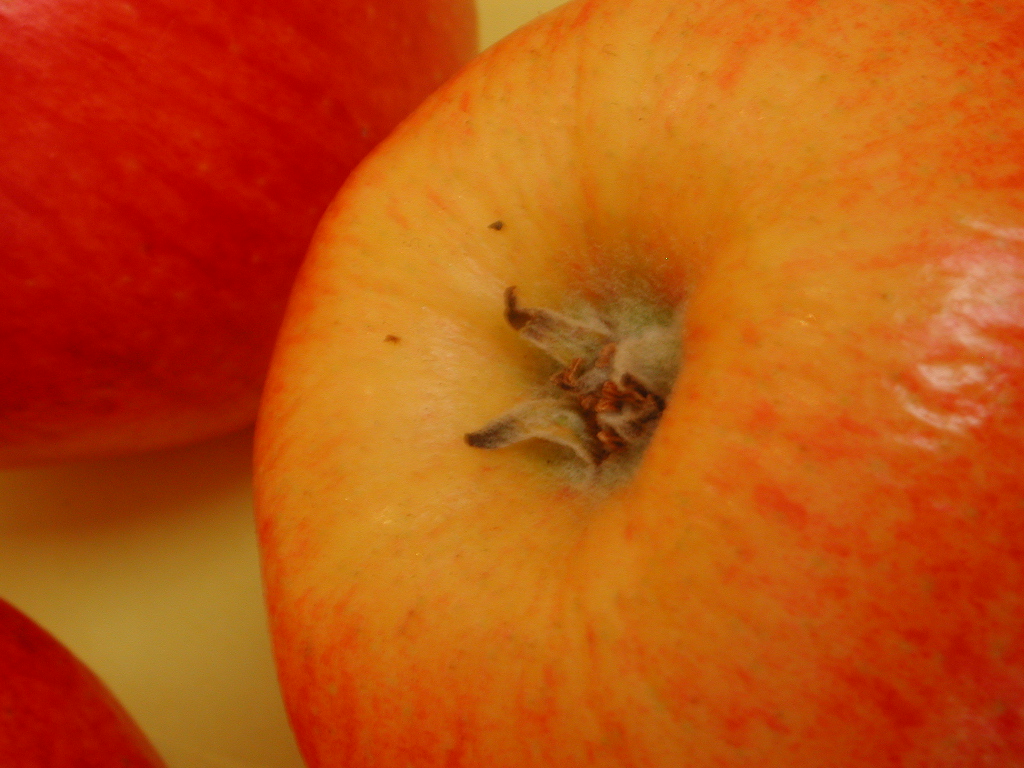 GUIDE DES POMMES - GUIDE OF APPLES - JONAGORED