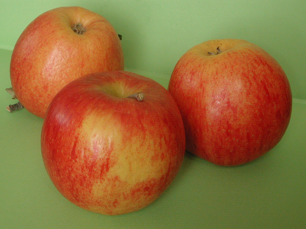 GUIDE DES POMMES - GUIDE OF APPLES - JONAGORED